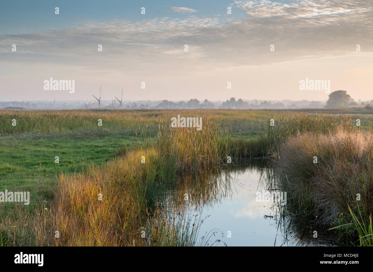 Late afternoon view across the marshes from Oare looking towards ...