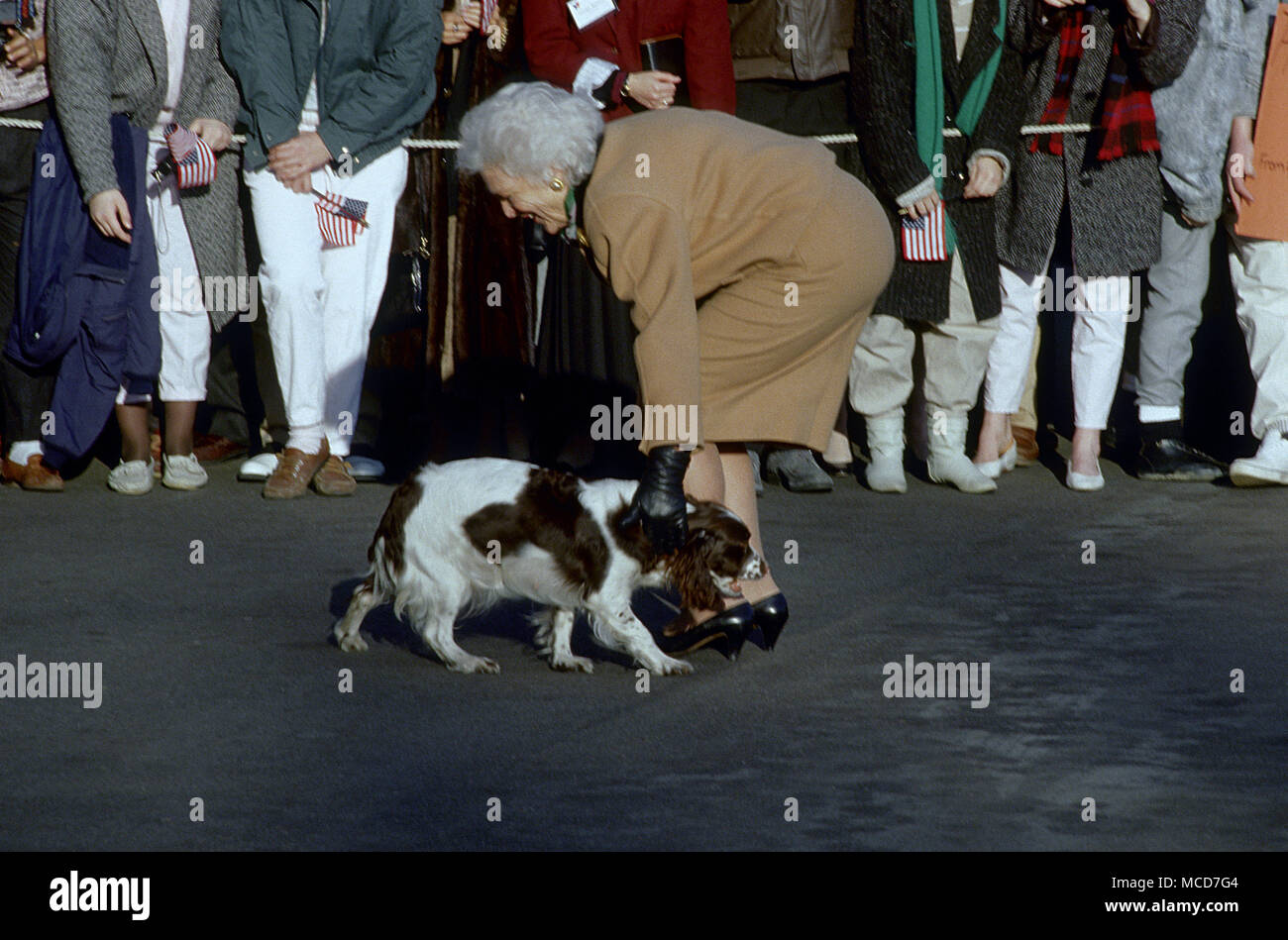 George Bush Dog Millie