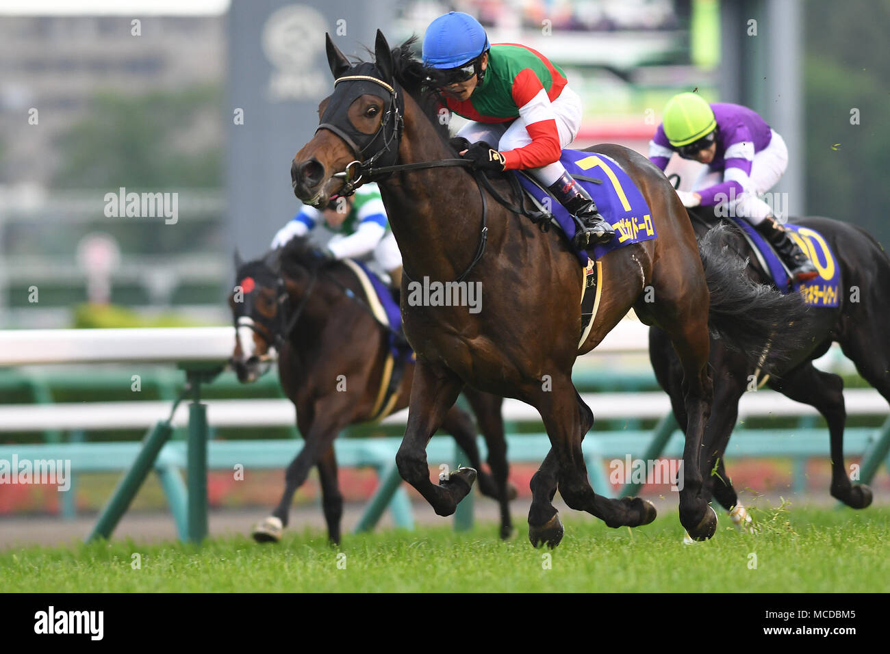 Funabashi, Chiba, Japan. 15th Apr, 2018. Epoca d'Oro (Keita Tosaki) Horse Racing : Epoca d'Oro ...
