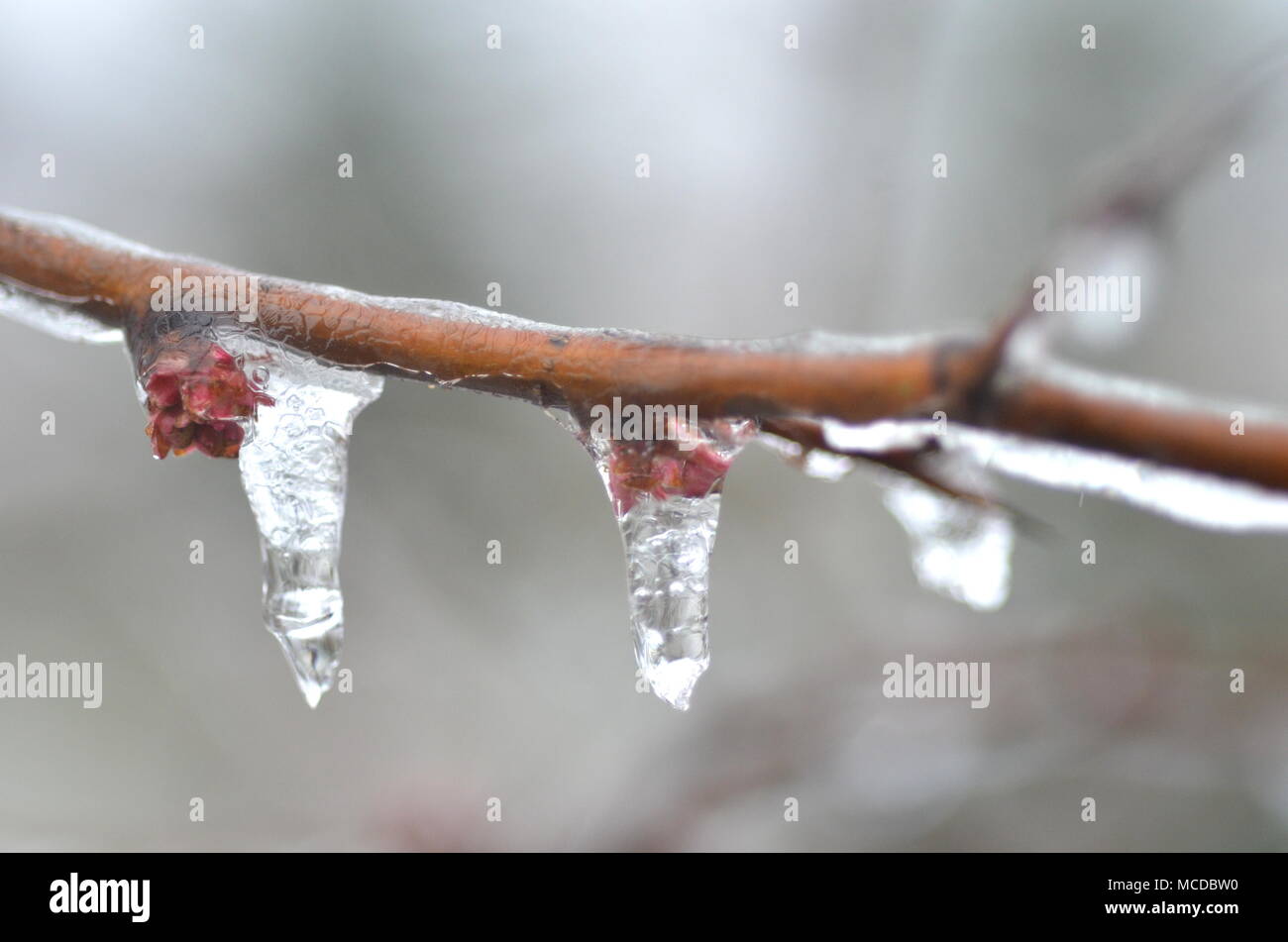 Damages to power lines hi-res stock photography and images - Alamy