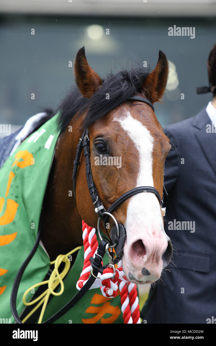 Racing tower hi-res stock photography and images - Alamy