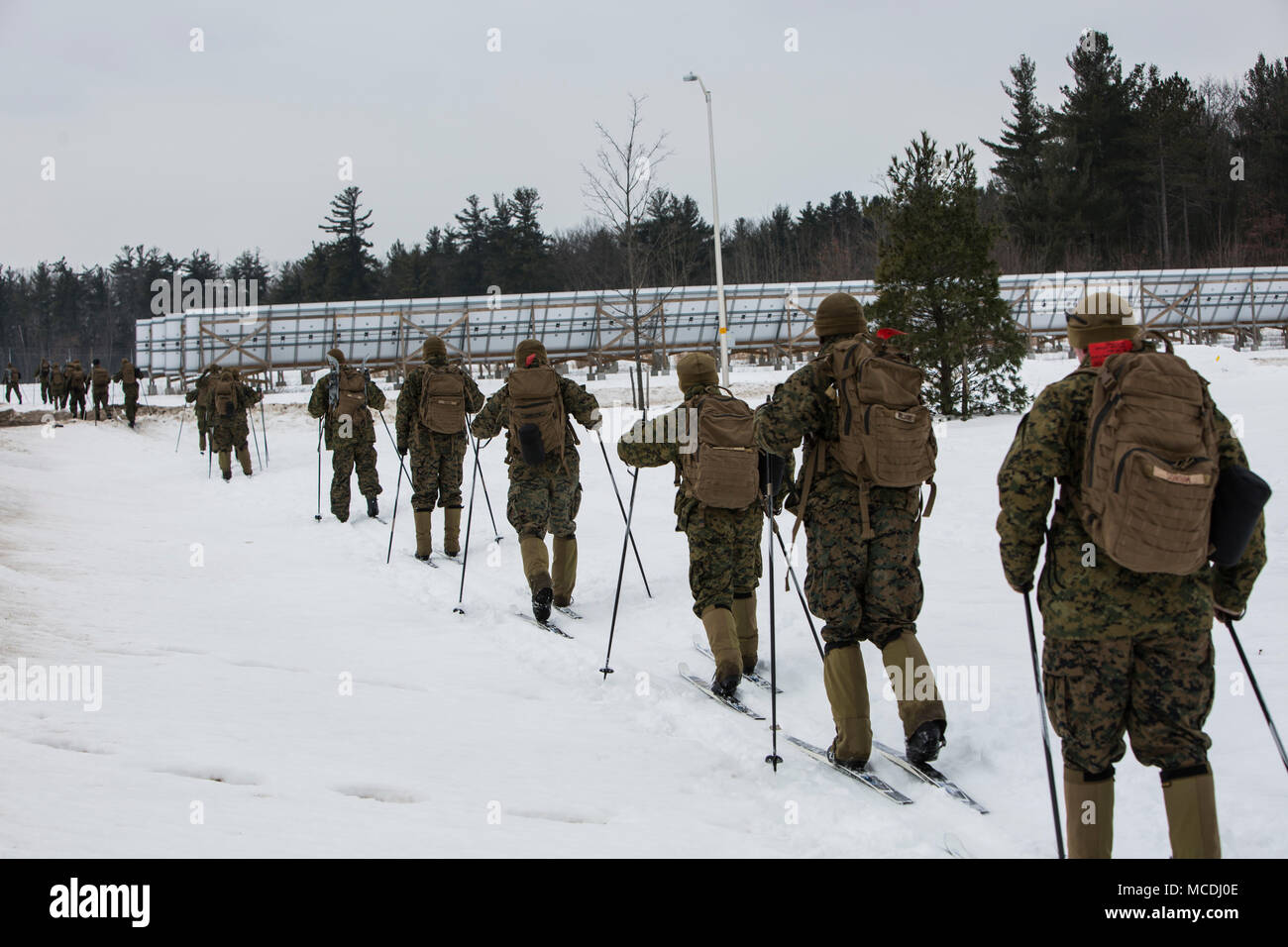 U.S. Marines with 2d Combat Engineer Battalion (CEB), 2d Marine ...