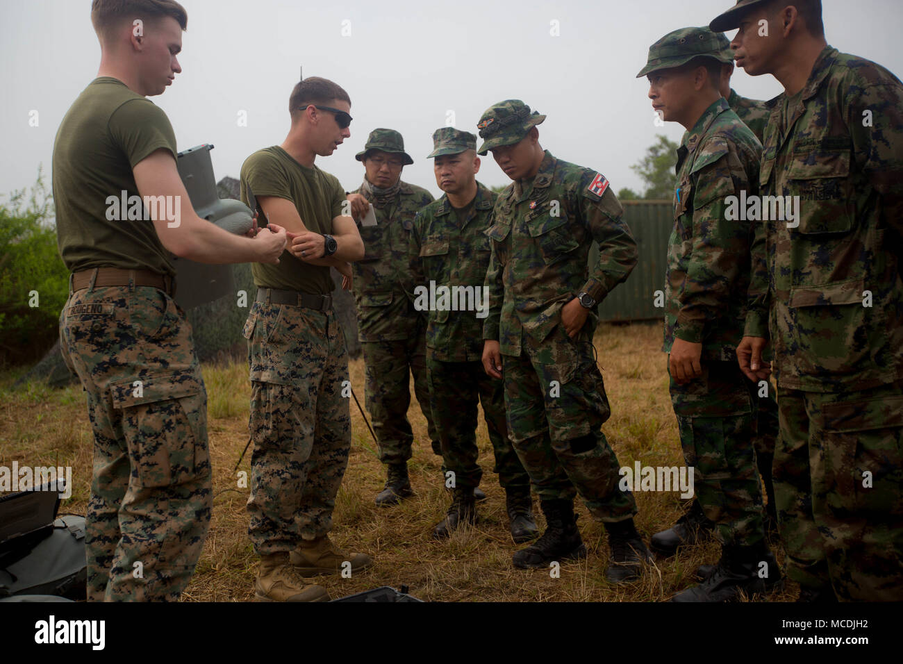 Rq 12 wasp hi-res stock photography and images - Alamy
