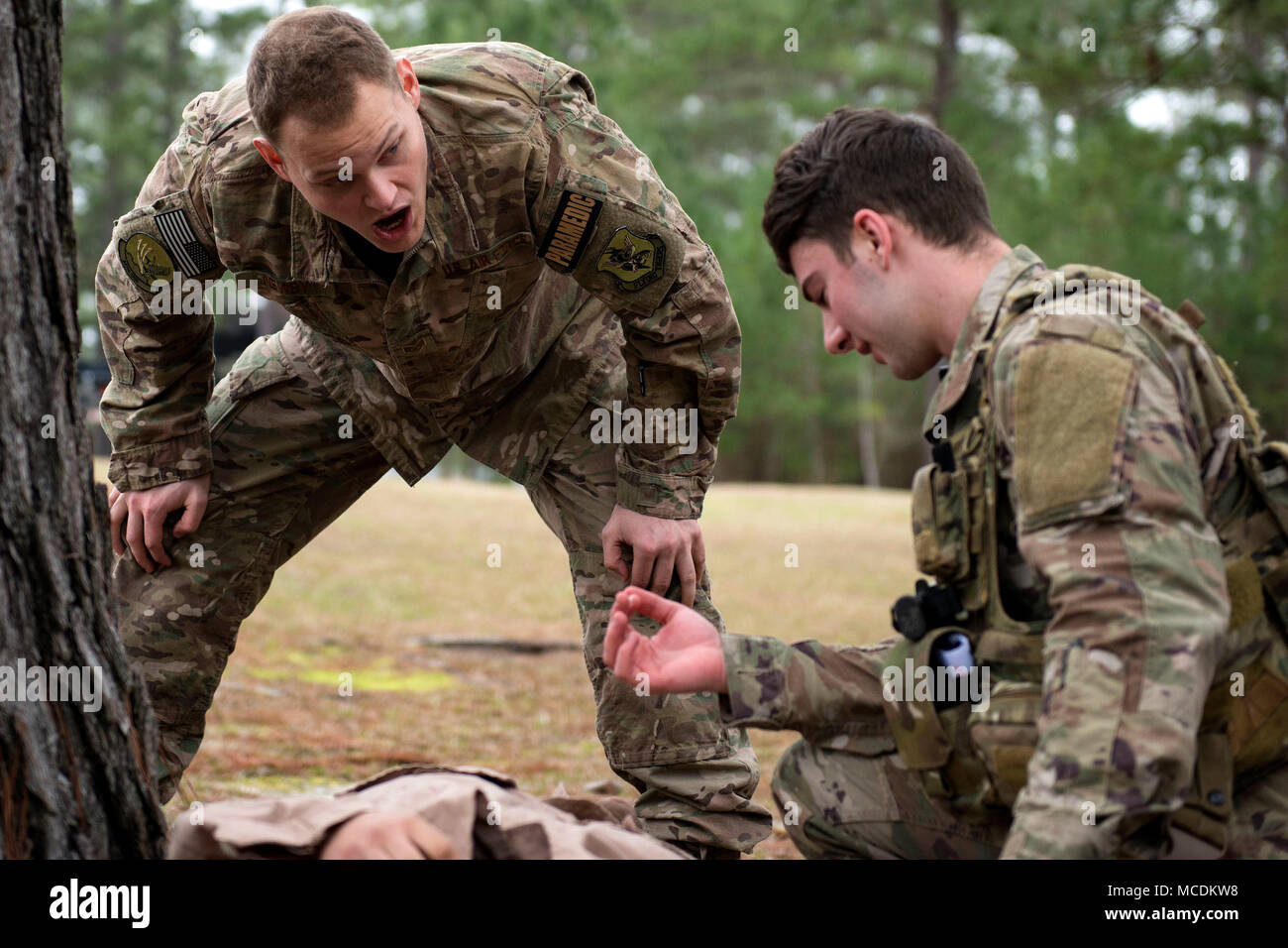 Saving tigers hi-res stock photography and images - Alamy