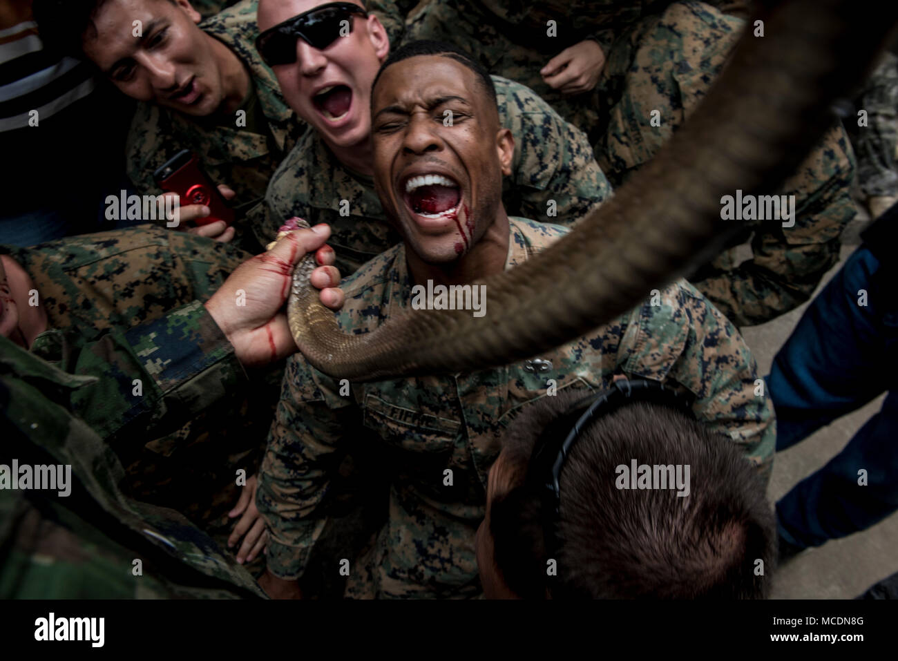 U.S. Marine Corps Sgt. Christopher Fiffie, a reconnaissance Marine from ...