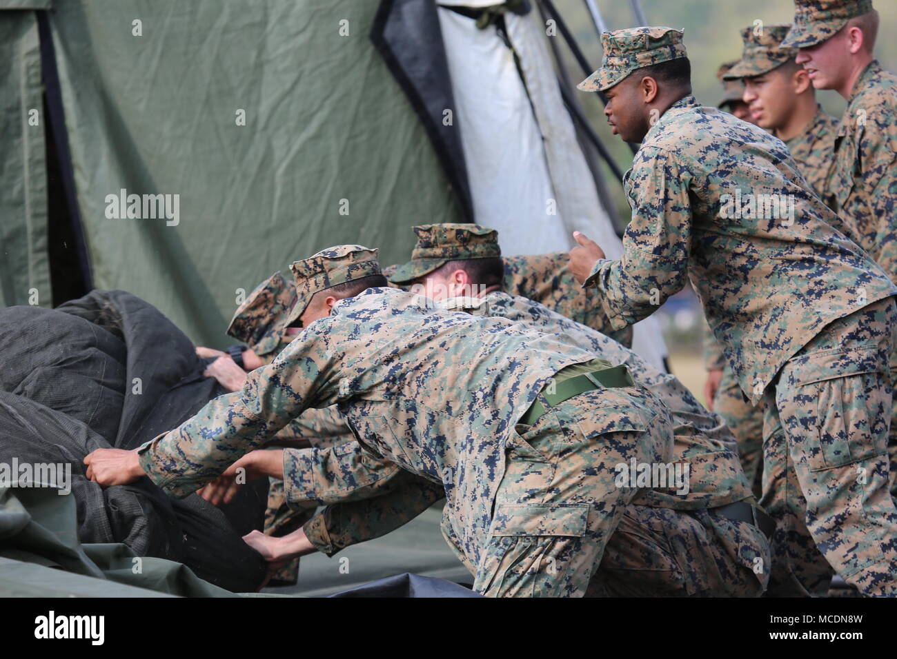 Gold region direct hi-res stock photography and images - Alamy