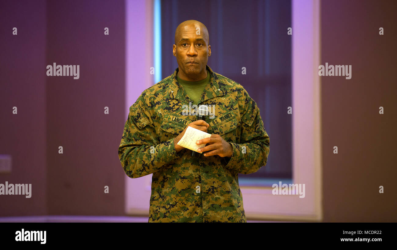 Brigadier General Michael E. Langley, commanding officer of 2nd Marine ...