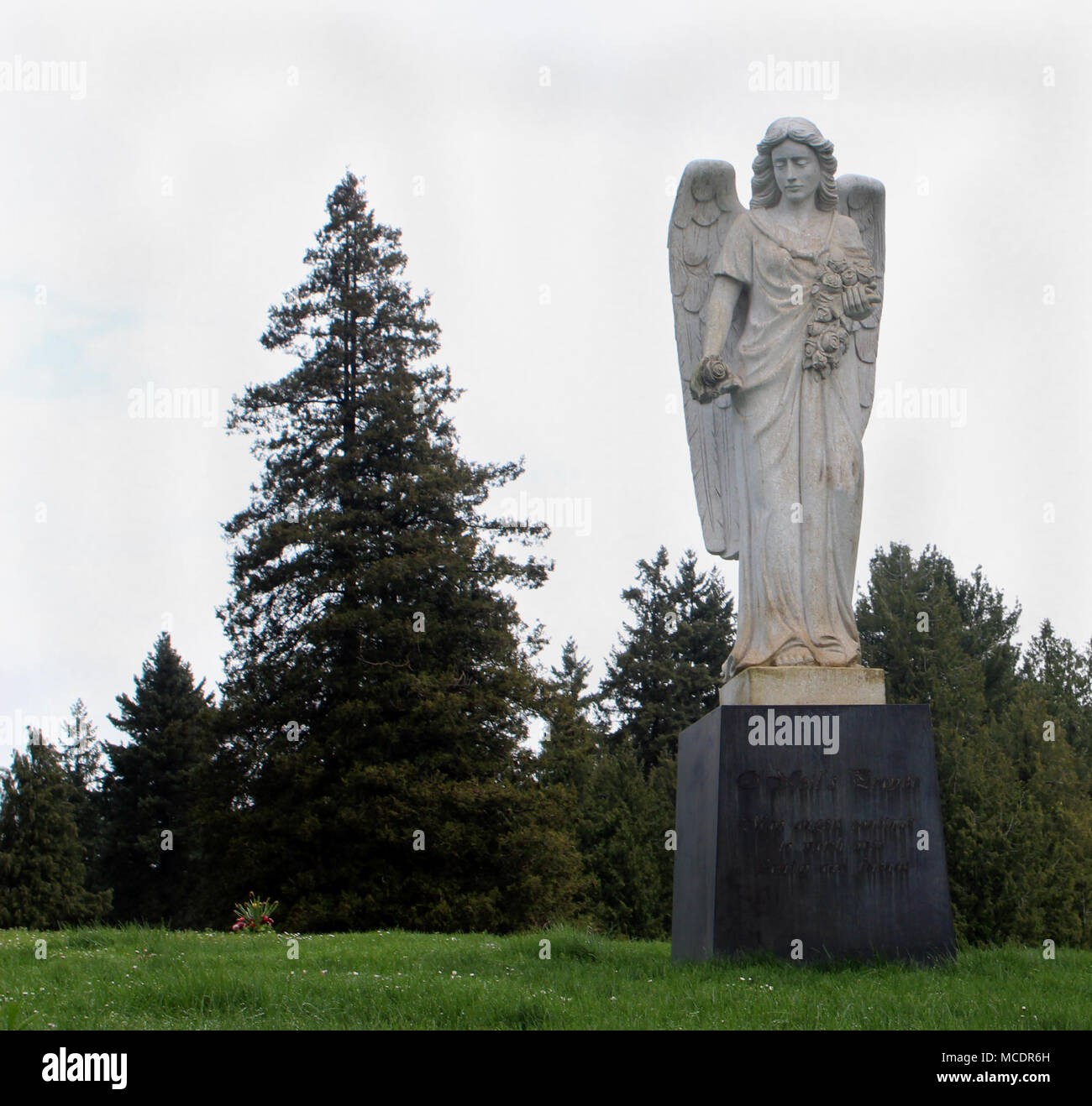 Statue angel wings on cemetery hi-res stock photography and images - Alamy