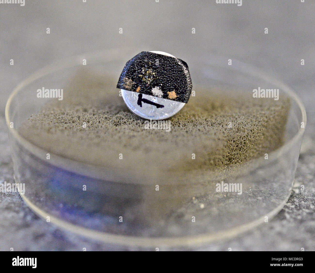 Unknown material is placed on a sample mount to prepare it for analysis ...