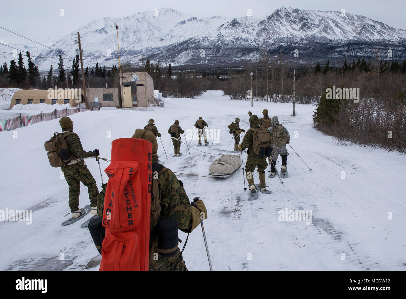 Sled containing hi-res stock photography and images - Alamy