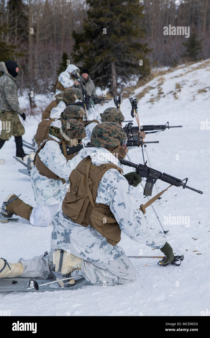 Marines with Low Altitude Air Defense Battalion, Alpha Battery, 2nd ...