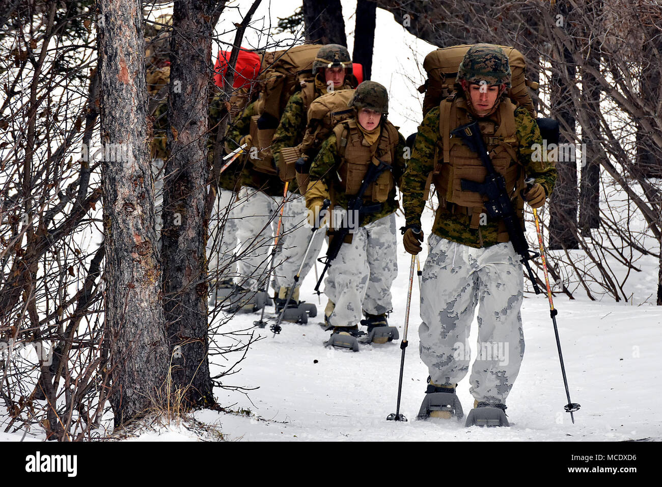 Northern warfare training cente hi-res stock photography and images - Alamy