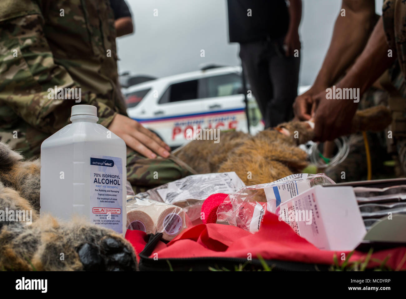 Canine first aid police hi-res stock photography and images - Alamy
