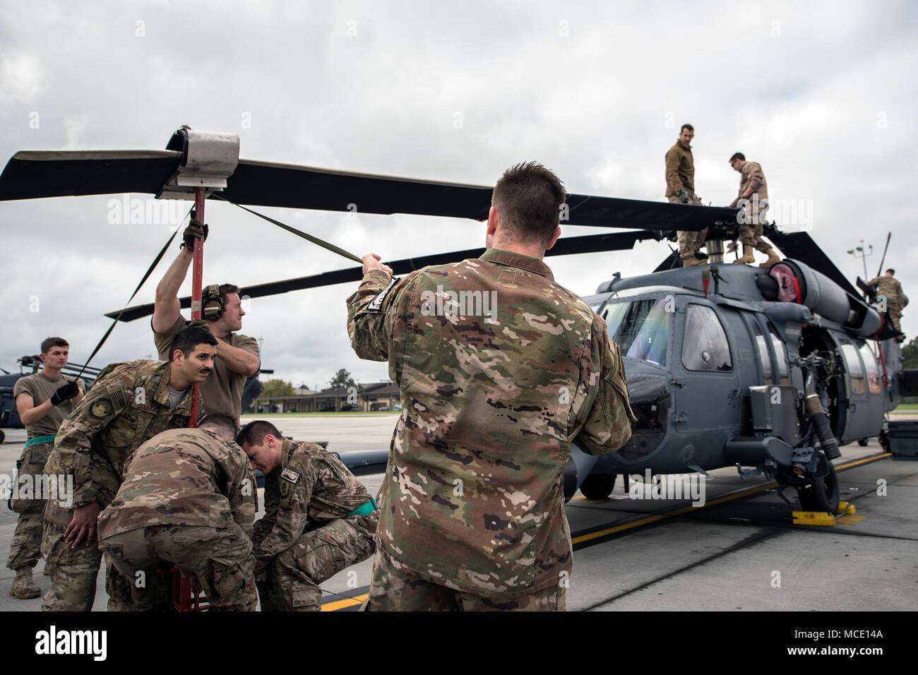 Special tail on hercules hi-res stock photography and images - Alamy