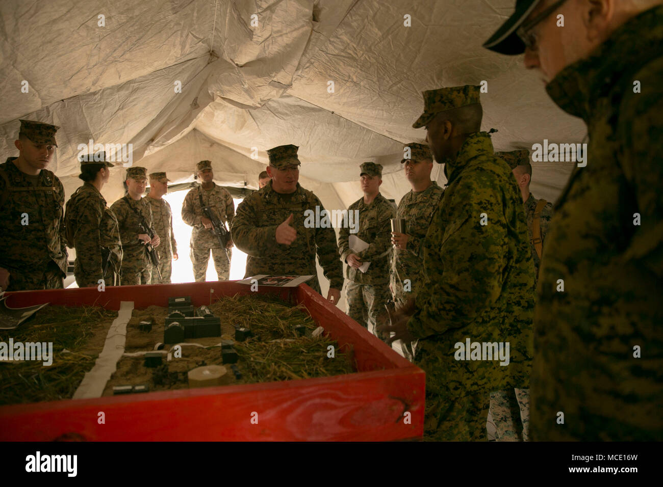 U.S. Marine Corps Col. David Owen, the commanding officer for II Marine ...