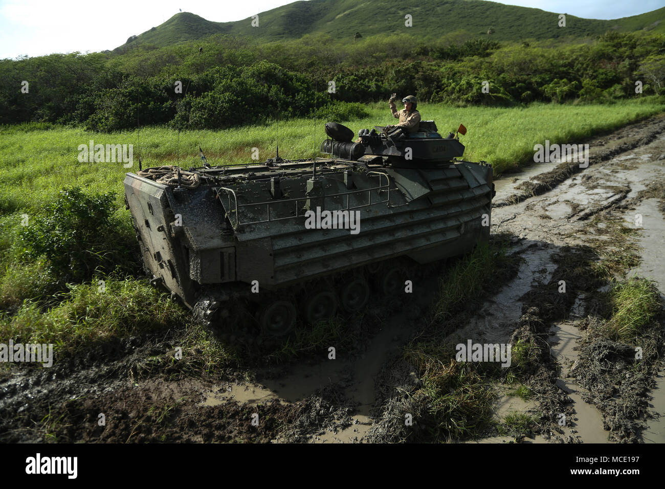 U.S. Marines with Combat Assault Company drive through the ponds of ...