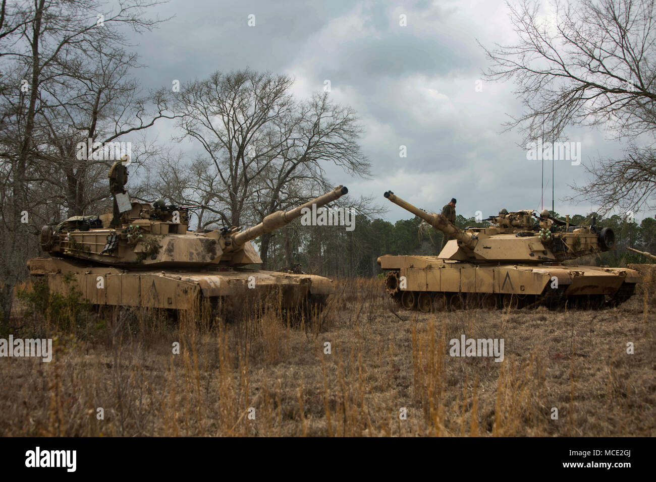 U.S. Marines with 2nd Tank Battalion, 2nd Marine Division, conduct fire ...