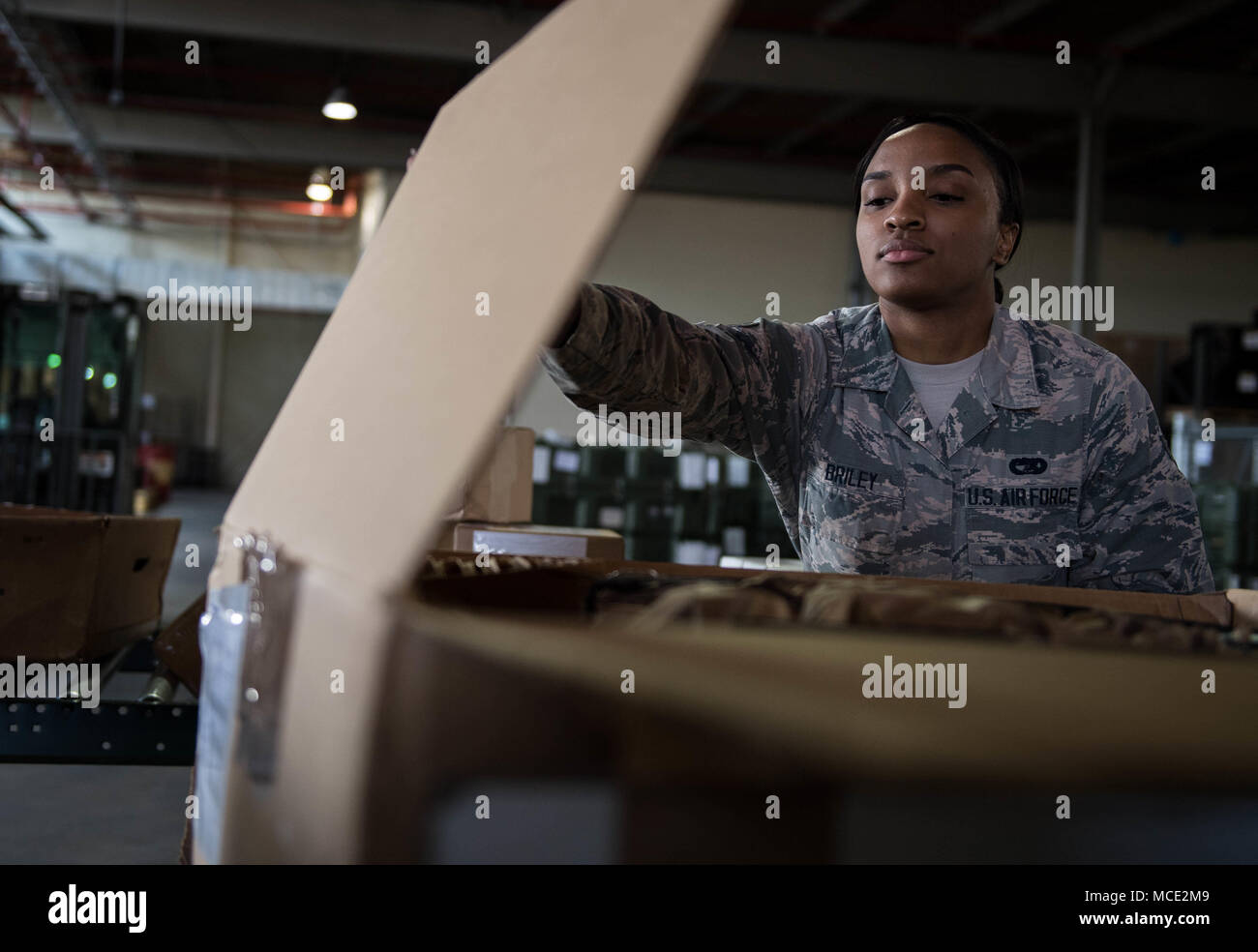 Airman 1st Class Kimberly Briley, 2nd Logistics Readiness Squadron ...