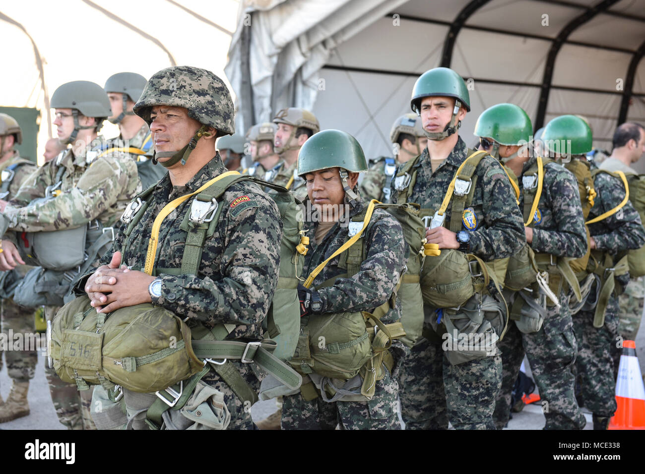 Multinational security forces participate in Sustained Airborne ...