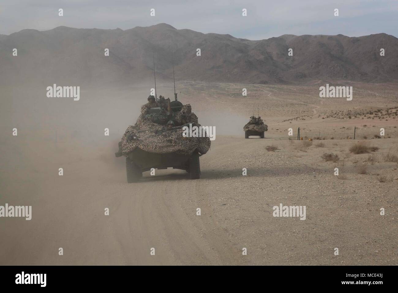 Light Armored Vehicles with 2nd Light Armored Reconnaissance Battalion ...