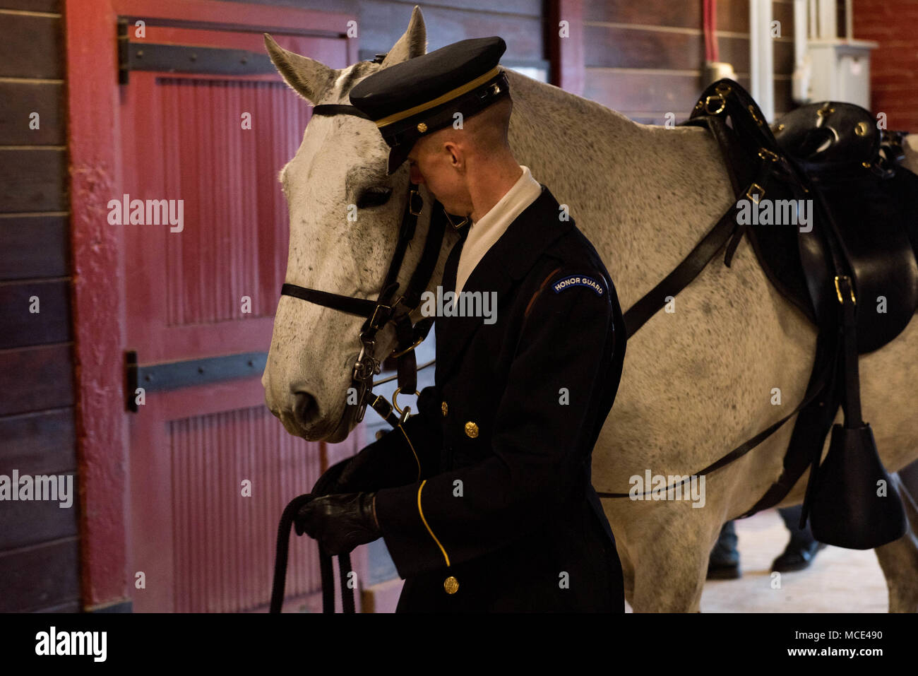 Spc. Hunter Terrell, assigned to the Caisson Platoon, 1st Battalion, 3d ...