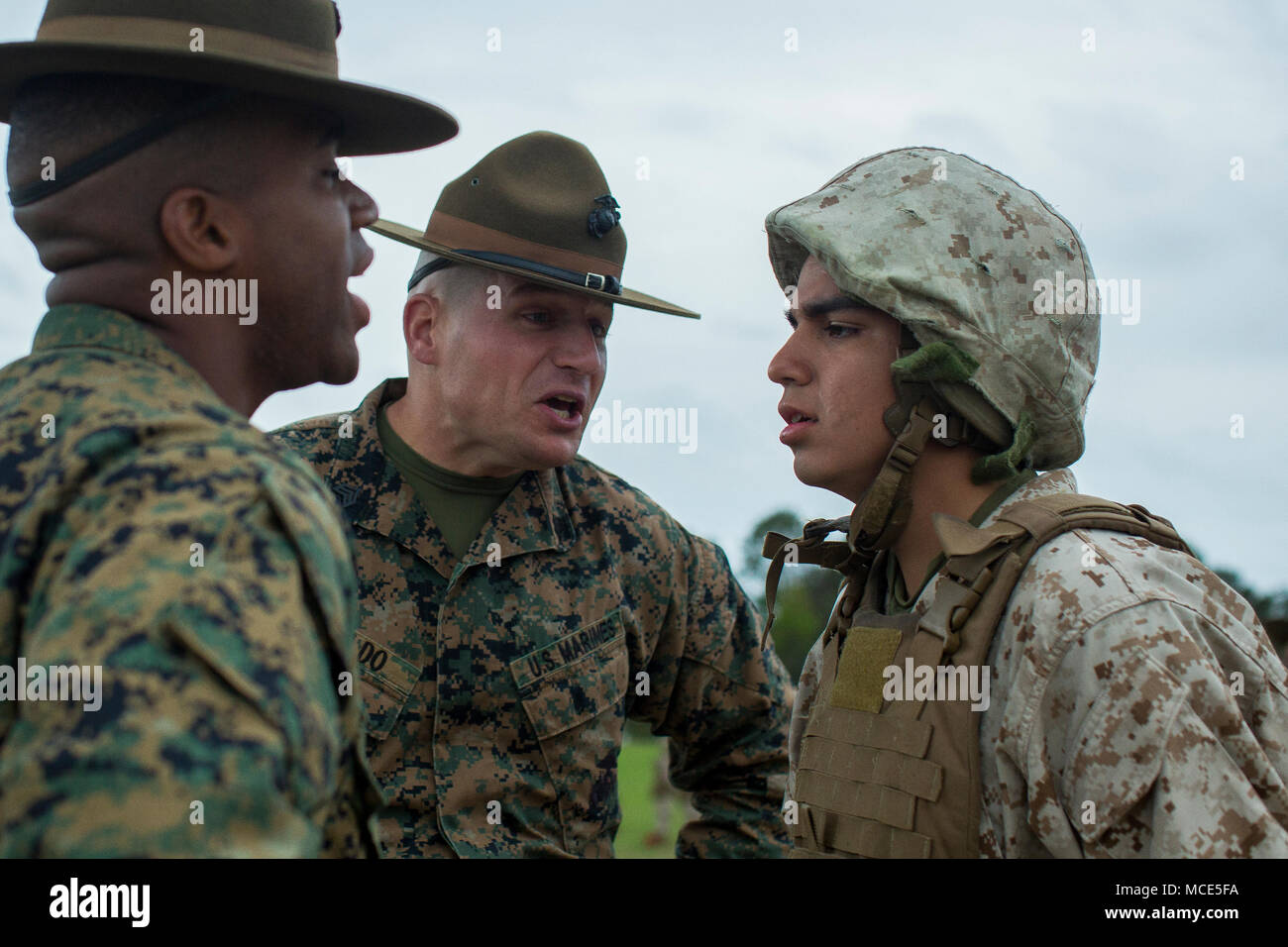 Starlight marine hi-res stock photography and images - Alamy