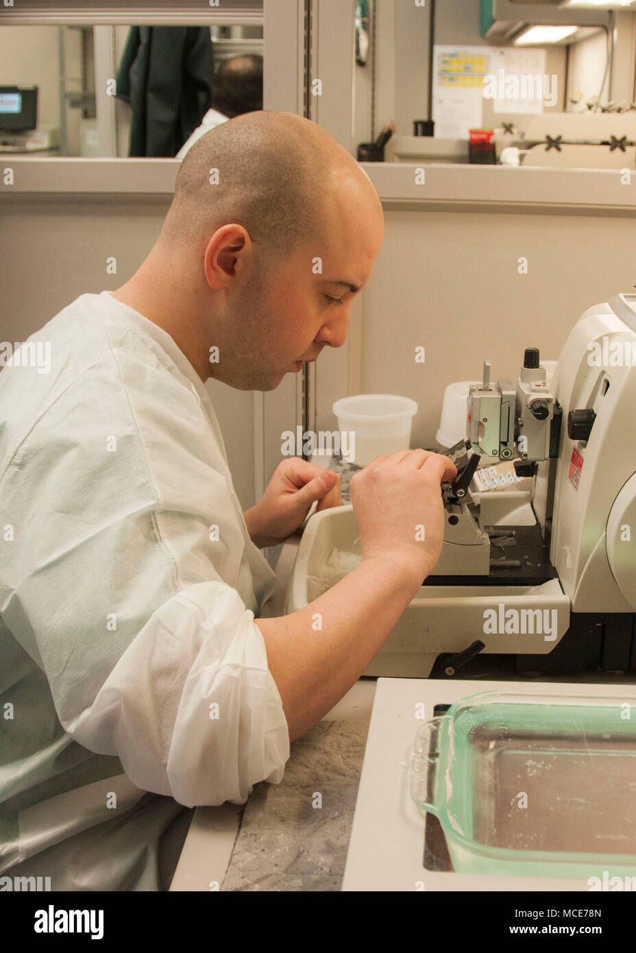 Microtomy hi-res stock photography and images - Alamy