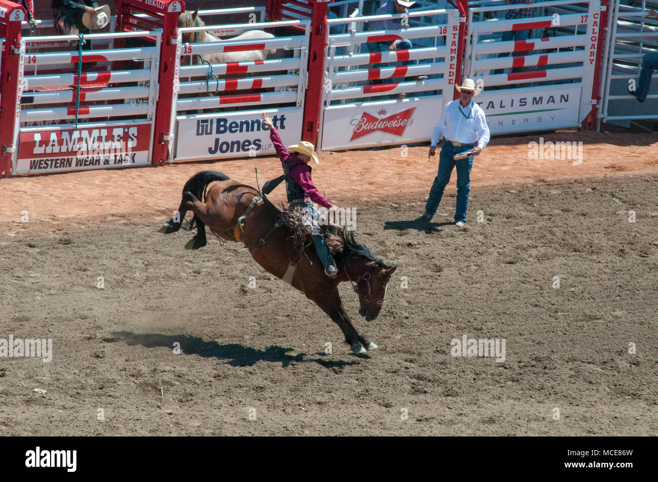 Grandstand show at calgary stampede hi-res stock photography and images ...