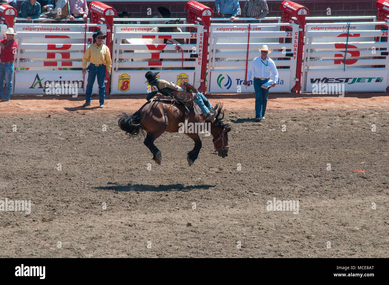 Grandstand show at calgary stampede hi-res stock photography and images ...