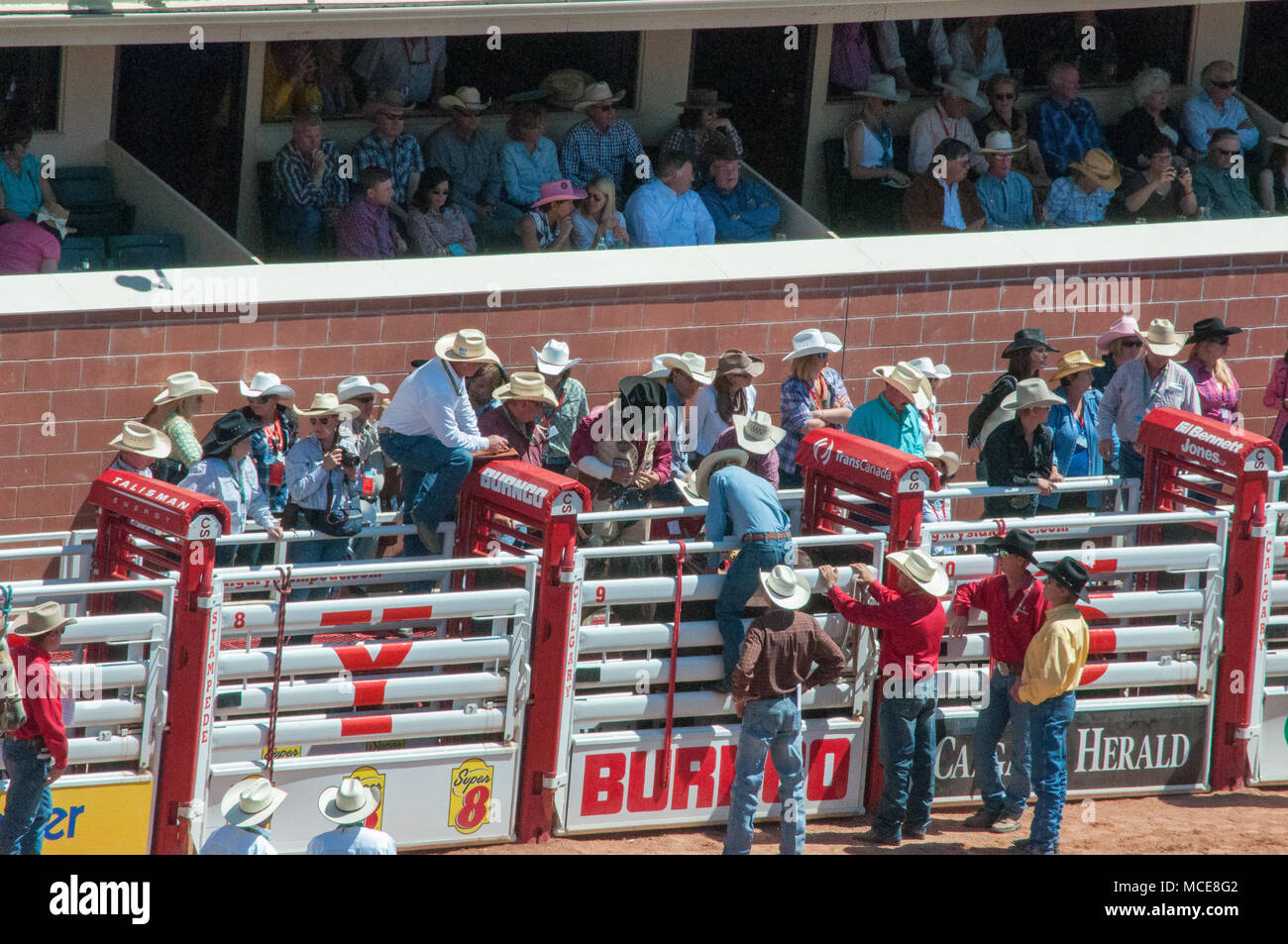 Grandstand show at calgary stampede hi-res stock photography and images ...