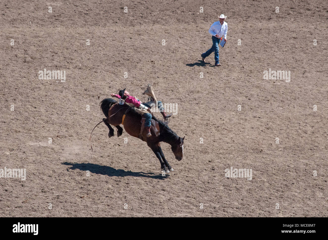 Grandstand show at calgary stampede hi-res stock photography and images ...