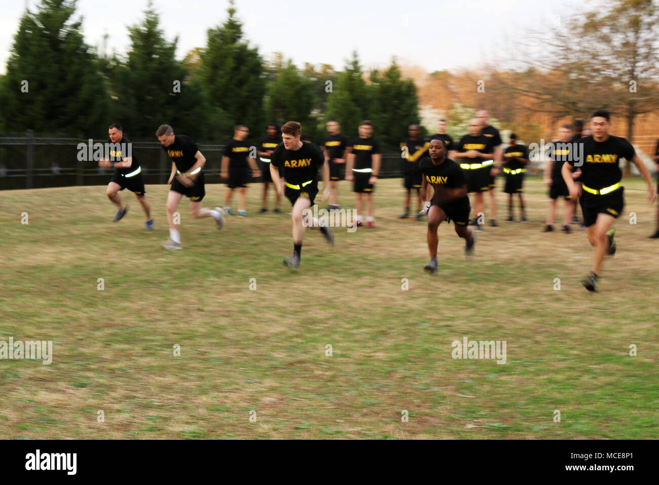 Soldiers with the 642nd Regional Support Group conduct morning physical ...
