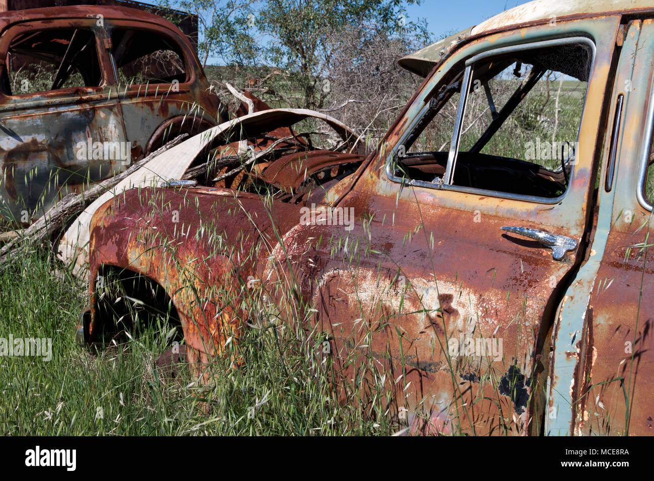 Old cars left in farm paddock with long grass all around Stock Photo ...