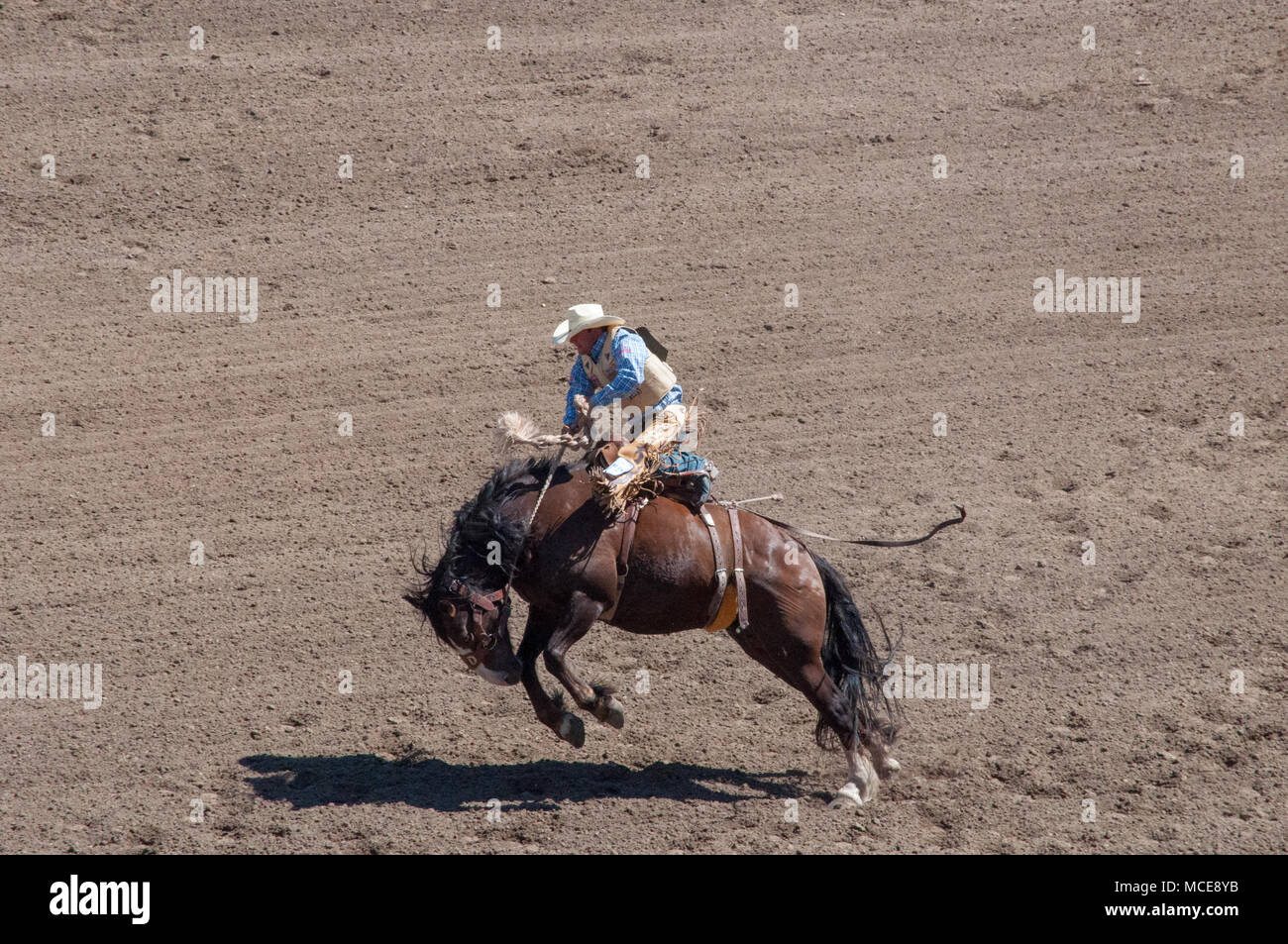 A cowboy competes in the Saddle Bronc event during the rodeo at the ...