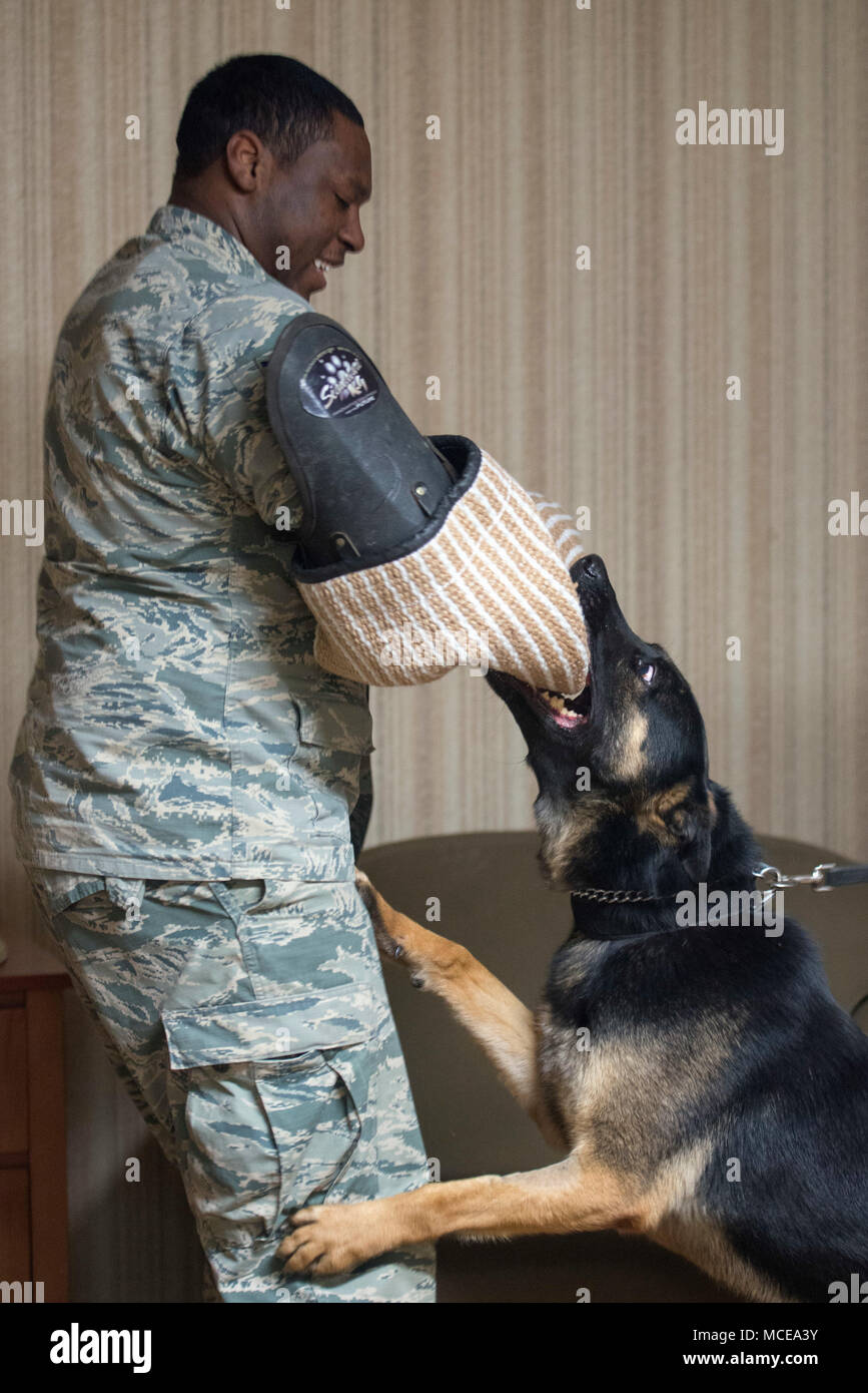 Air Force Staff Sgt. Tony Higgs, and military working dog, Beni ...