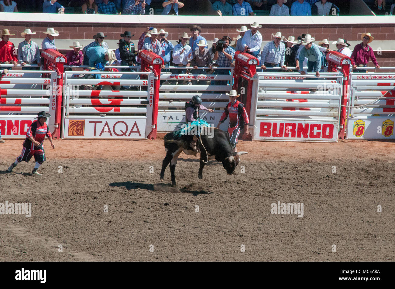 A bull rider competed during the bill riding event while rodeo clowns ...