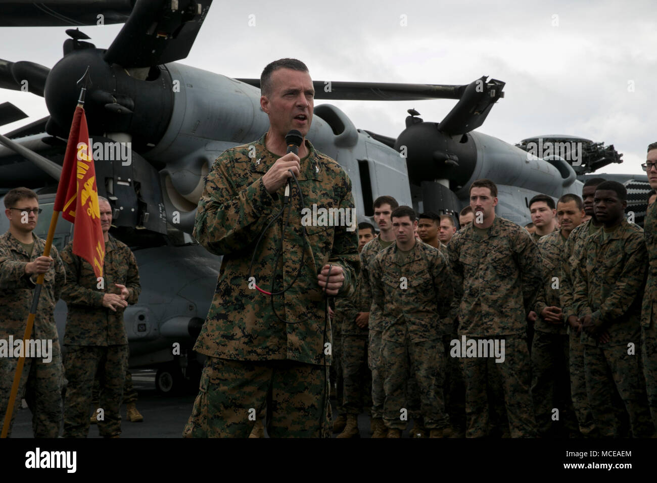 Col. Tye R. Wallace, commanding officer of the 31st Marine ...