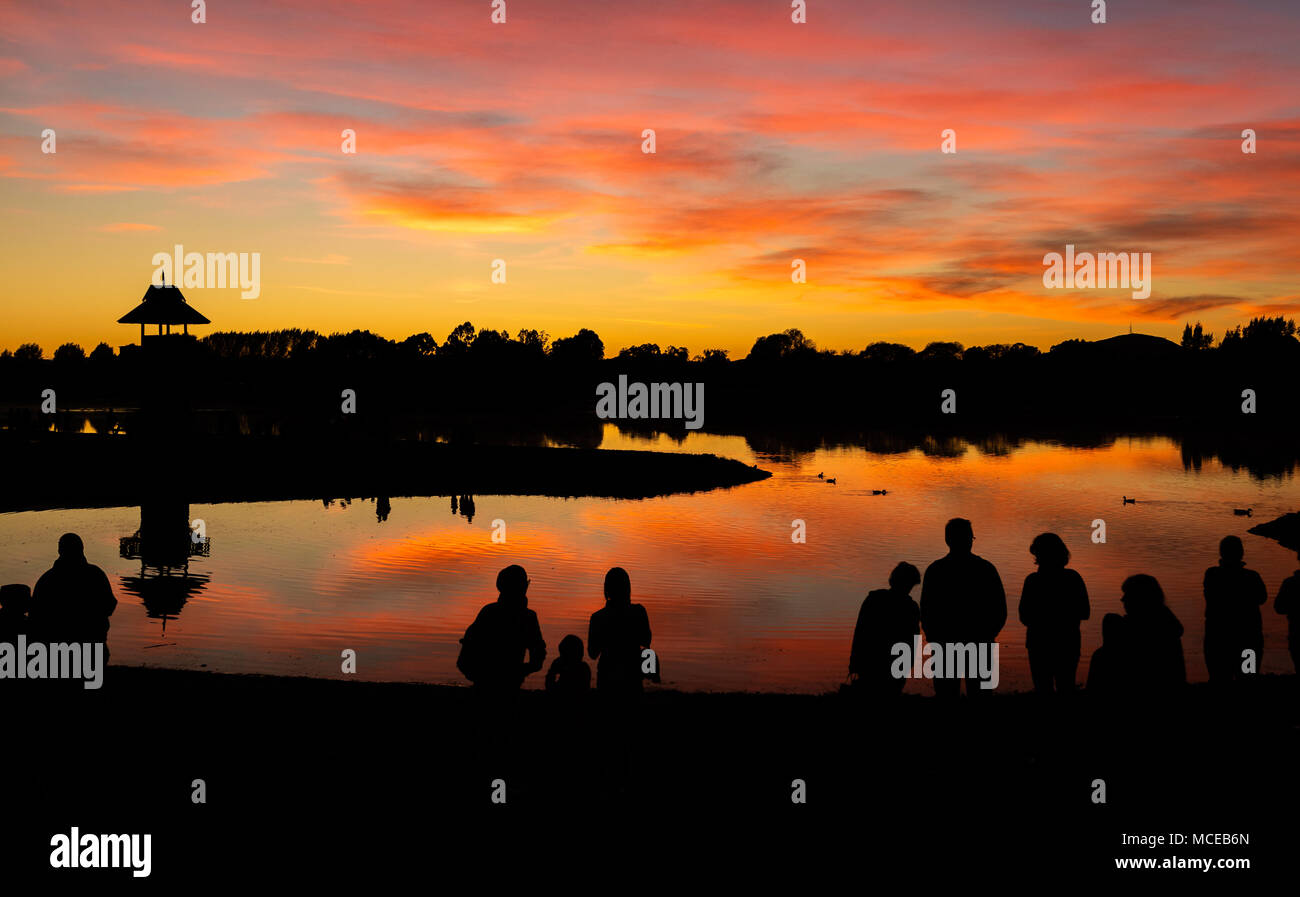 Still waters at Henley Lake Park, Masterton, New Zealand at dawn Stock ...