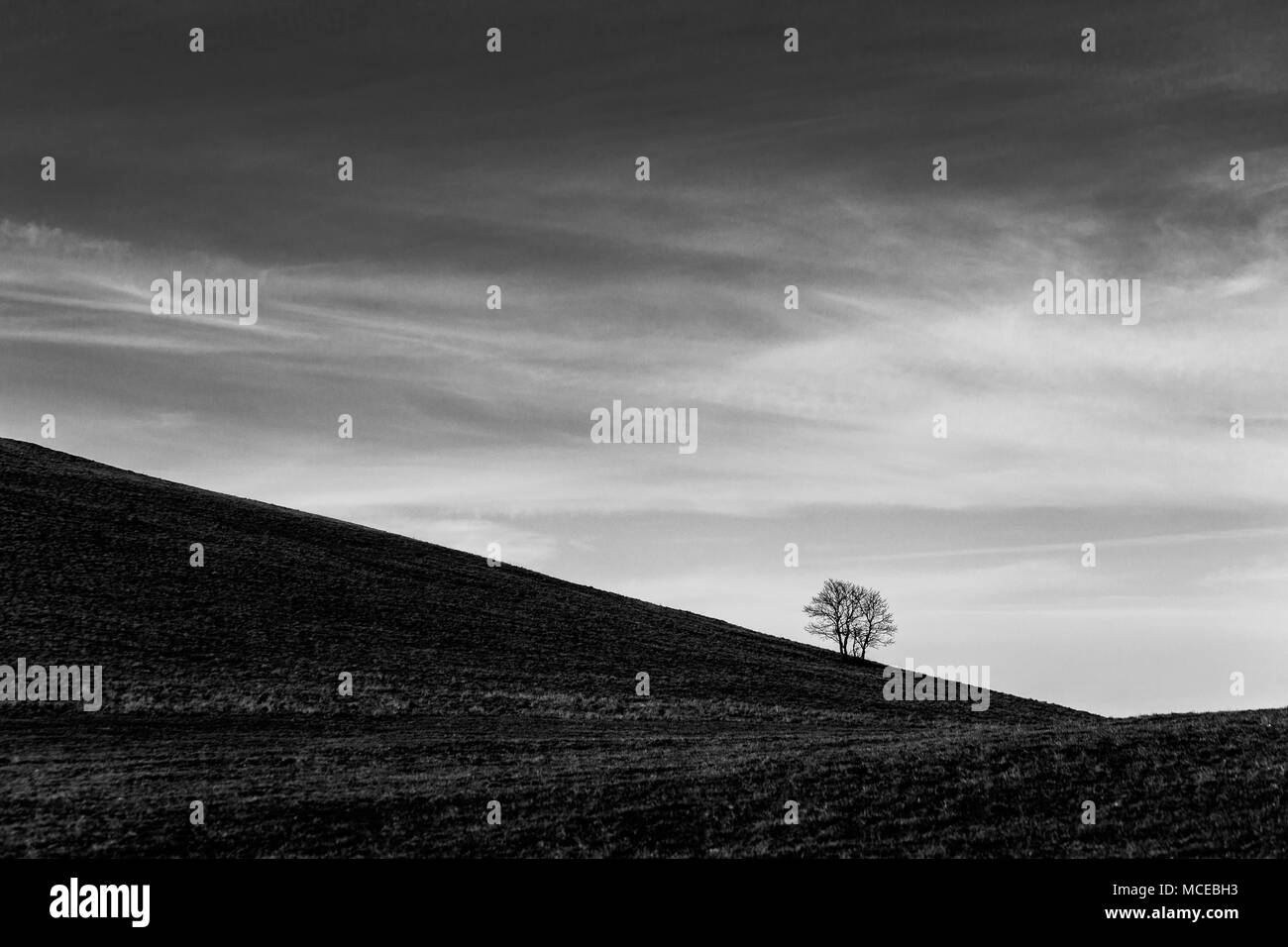 A distant, loney tree on a bare hill, beneath a deep sky with white ...