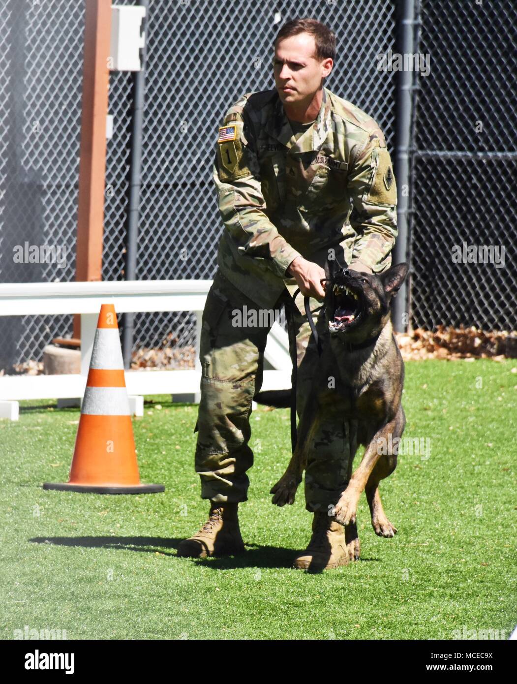 A K-9 handler assigned to Fort Huachuca’s Military Police, prepares to ...
