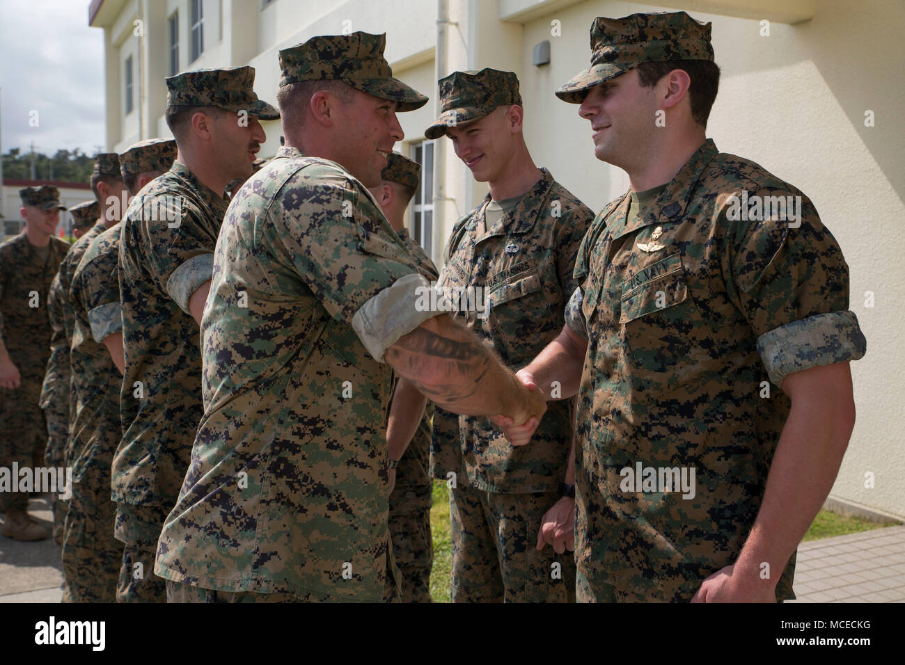 U.S. Marines with 3rd Marine Division congratulate their fellow Marines ...