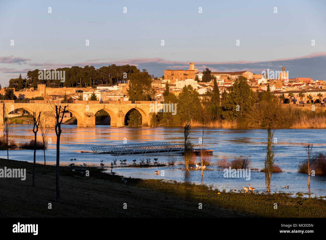 Badajoz spain hi-res stock photography and images - Alamy