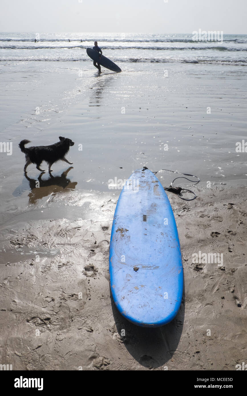Surf school, learning,surfing,on,surfboards,water,sports,at,Newgale ...