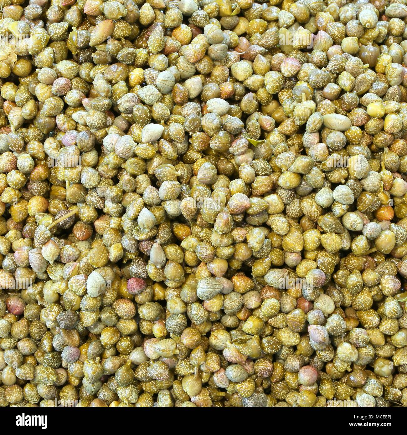 background of small green capers typical of Mediterranean countries ...