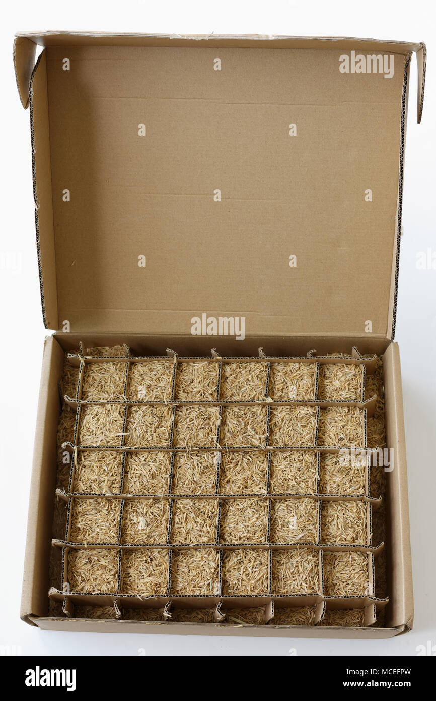 Corrugated boxes in many lattices Stock Photo - Alamy