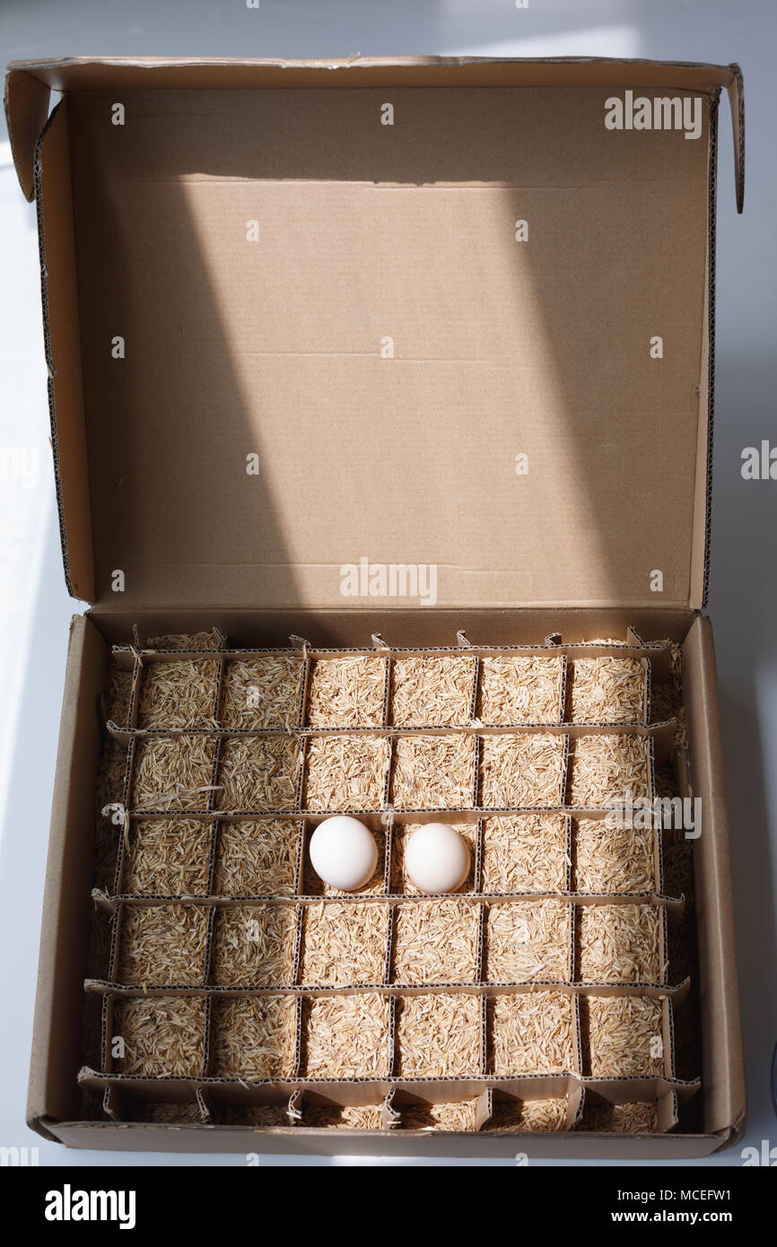 The eggs in the corrugated box are tightly protected Stock Photo - Alamy
