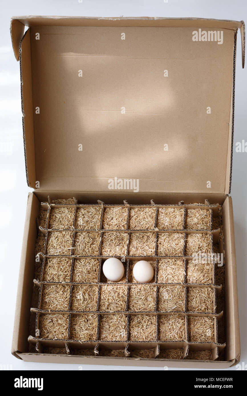 The eggs in the corrugated box are tightly protected Stock Photo - Alamy