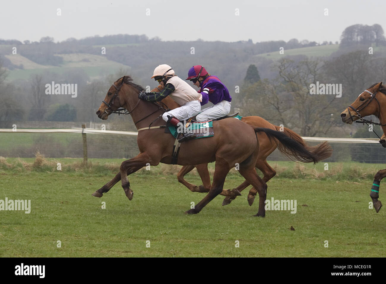 pony racing at a point to point in the UK Stock Photo - Alamy