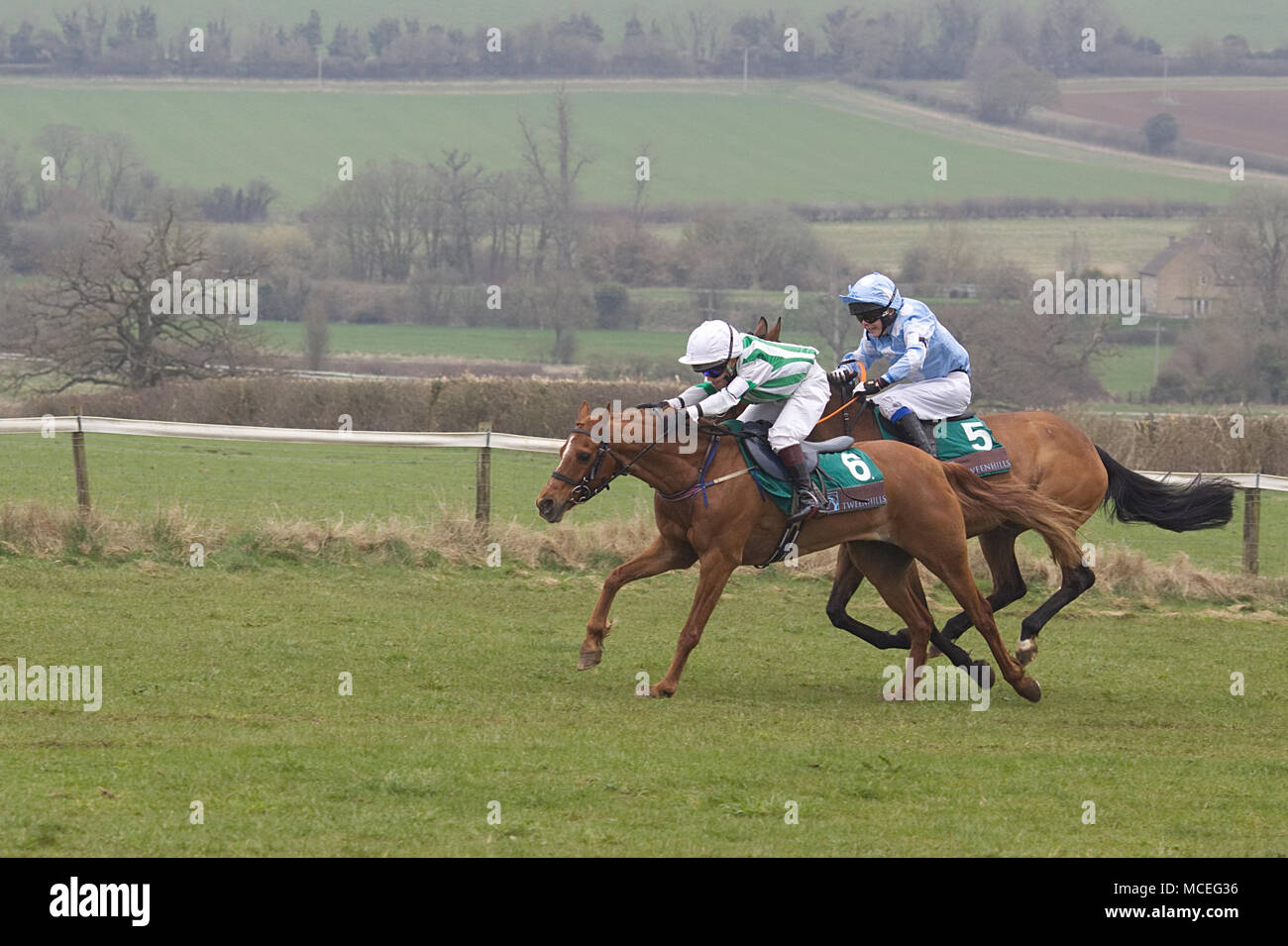 pony racing at a point to point in the UK Stock Photo - Alamy