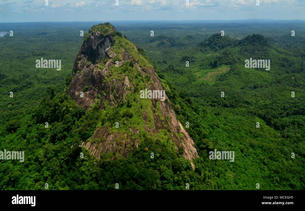 The view of the Barito river in Borneo from above Stock Photo - Alamy
